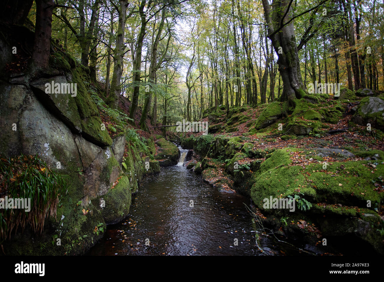 Hgcdfth hi-res stock photography and images - Alamy