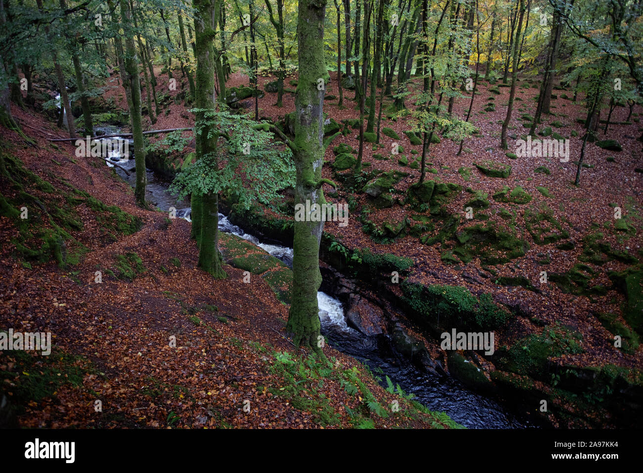 Hgcdfth hi-res stock photography and images - Alamy