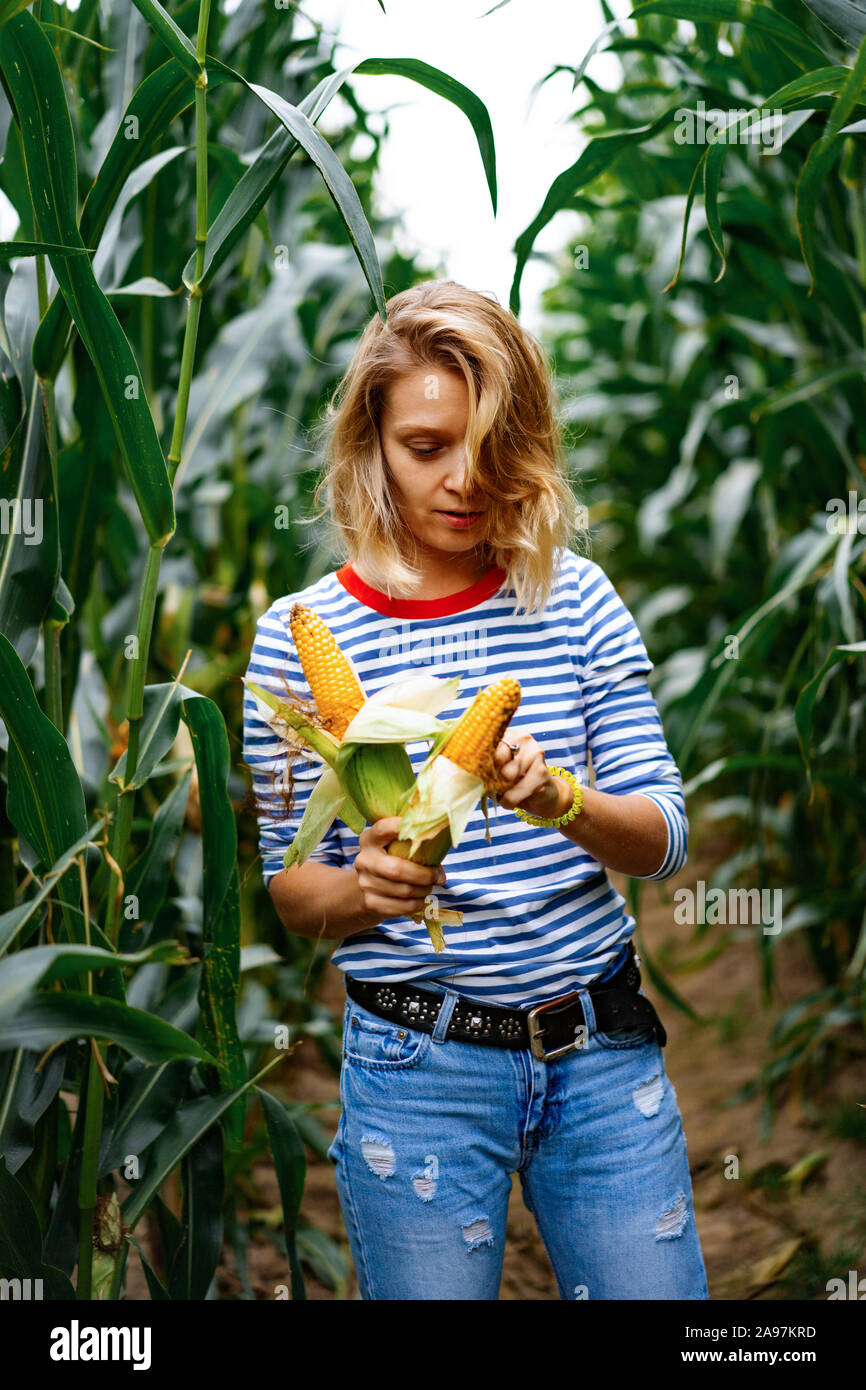 Girl in the corn field. Female picks up corn Stock Photo - Alamy