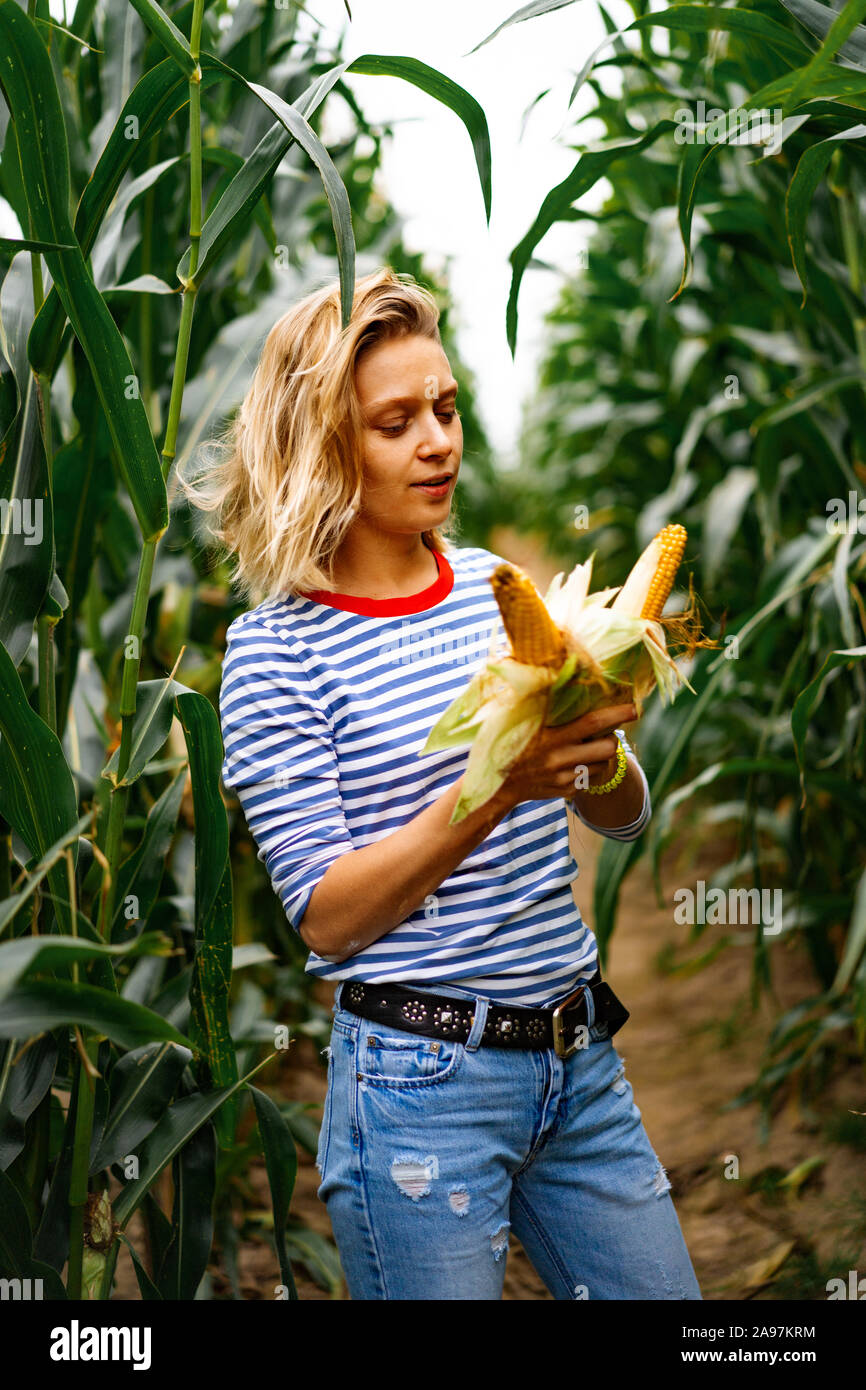 Girl in the corn field. Female picks up corn Stock Photo - Alamy