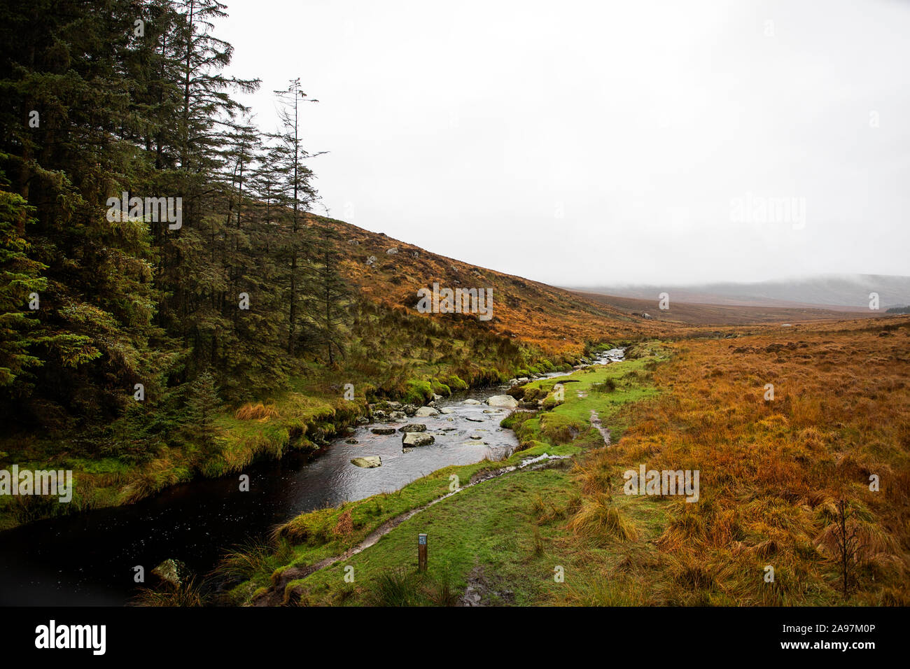 Hgcdfth hi-res stock photography and images - Alamy