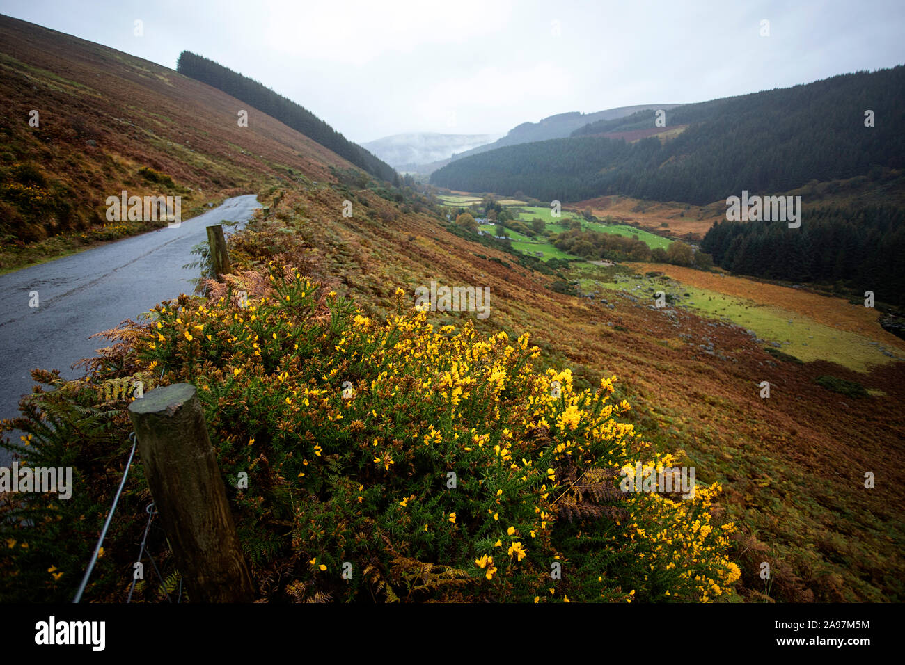 Hgcdfth hi-res stock photography and images - Alamy