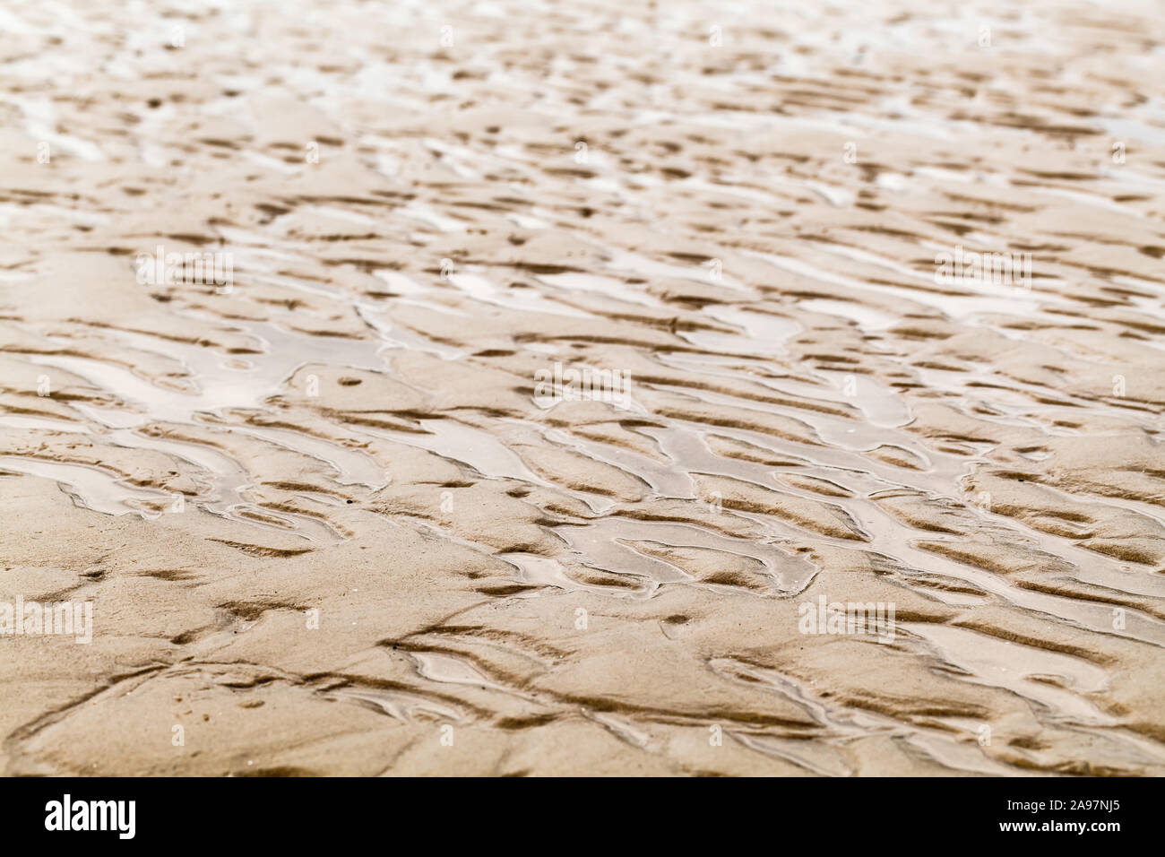 Surface of wet coastal sand, beach ground with sea water. Natural ...