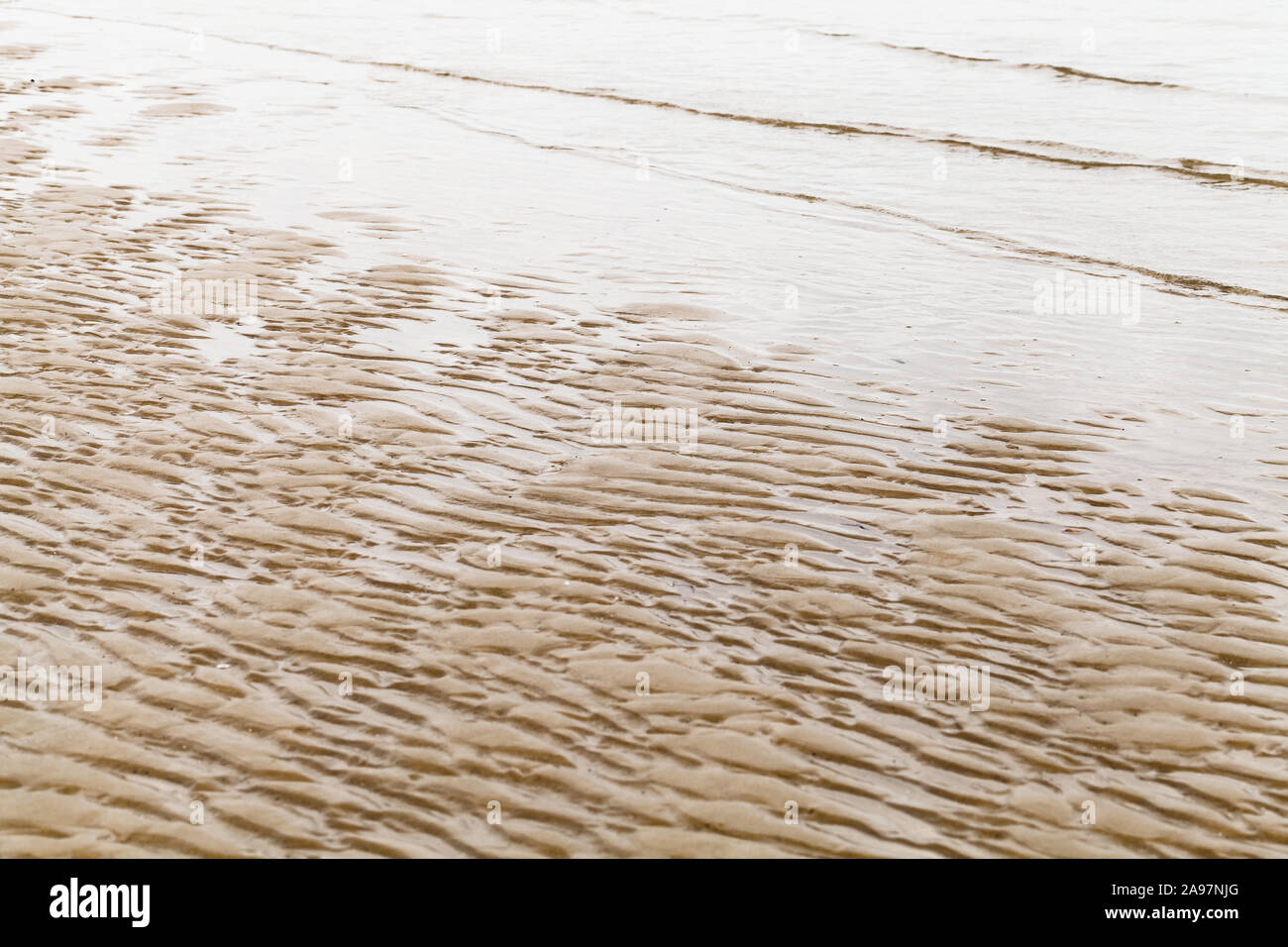 Ground Texture Beach 19,866 Sand Texture Grass Stock Photos Free