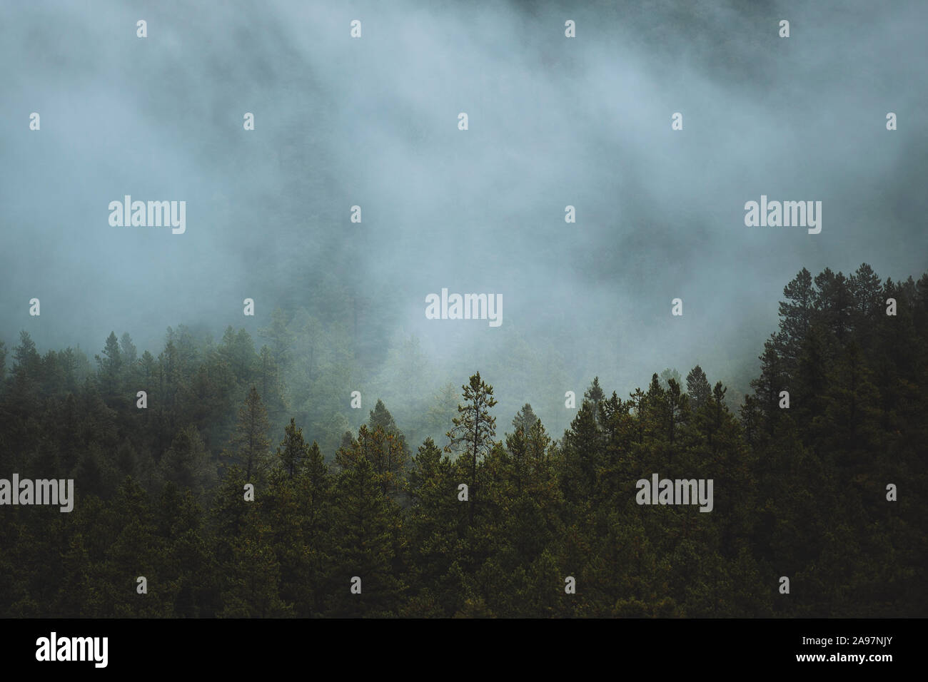Pine trees layer mountains hi-res stock photography and images - Alamy