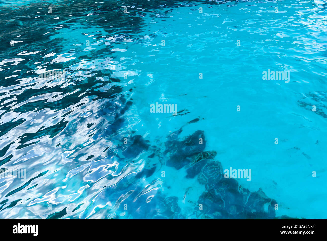 Natural shiny texture hi-res stock photography and images - Alamy