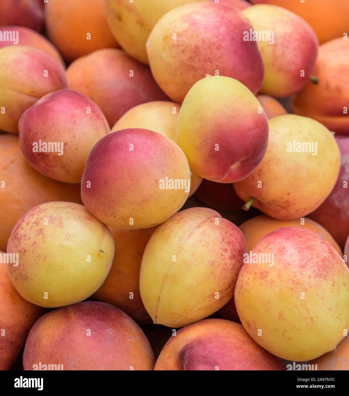 Aprikose hi-res stock photography and images - Alamy
