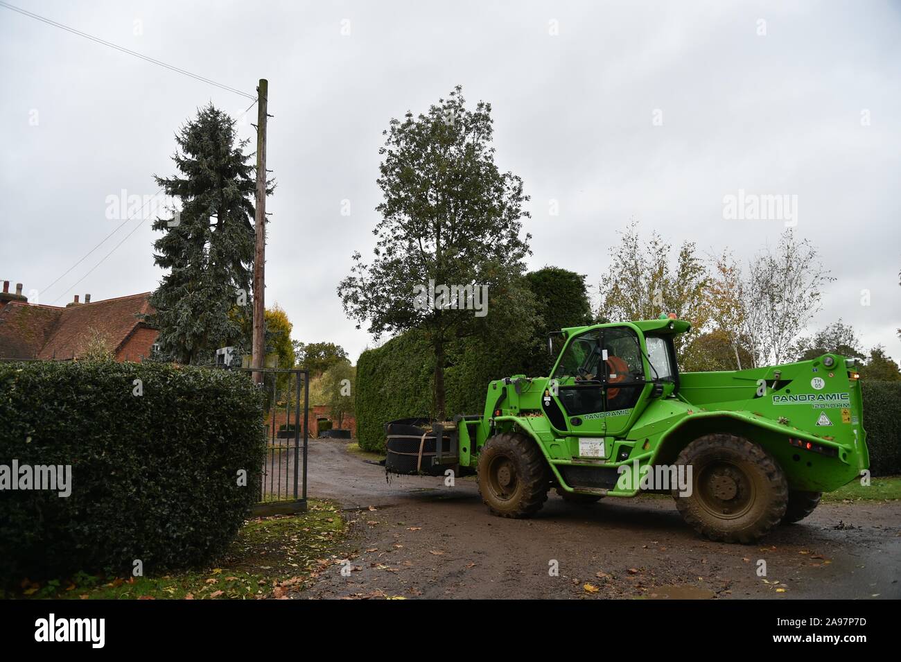 Tree nursery worker using heavy lifting equipment Stock Photo - Alamy