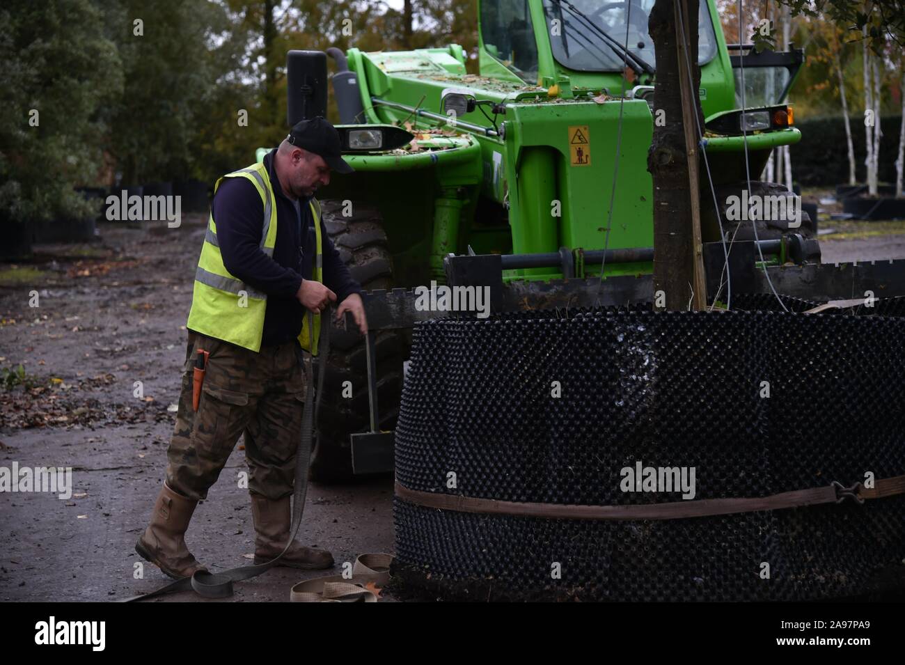 Tree nursery worker using heavy lifting equipment Stock Photo - Alamy
