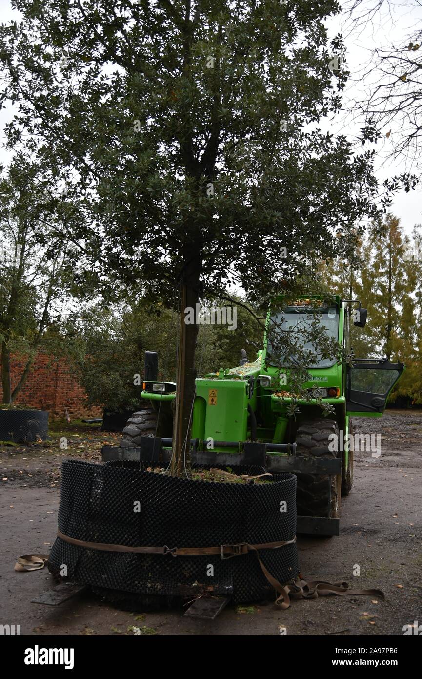 Tree nursery worker using heavy lifting equipment Stock Photo - Alamy