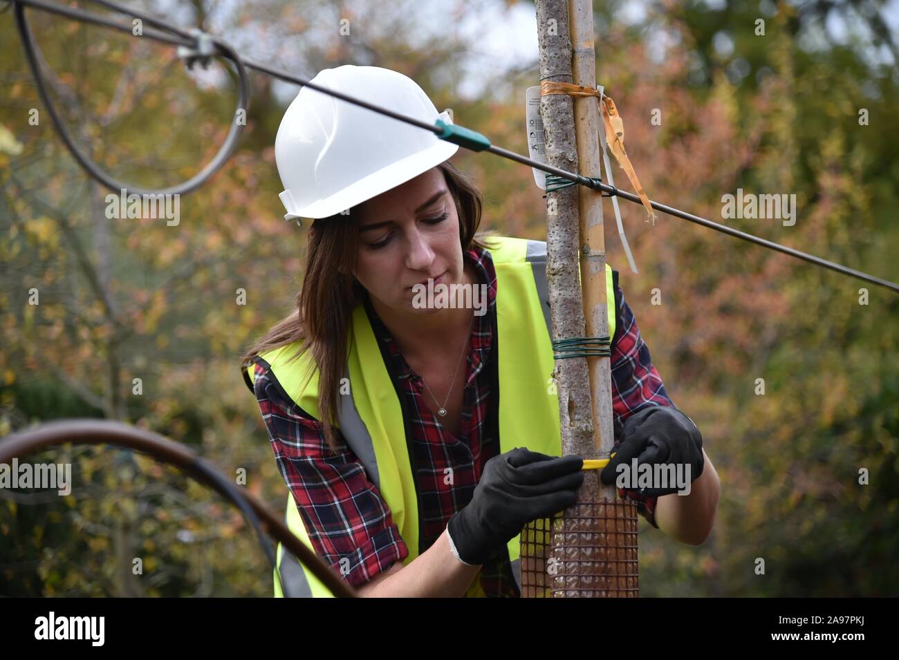 Woman working on tree nursery wearing safety clothing Stock Photo - Alamy