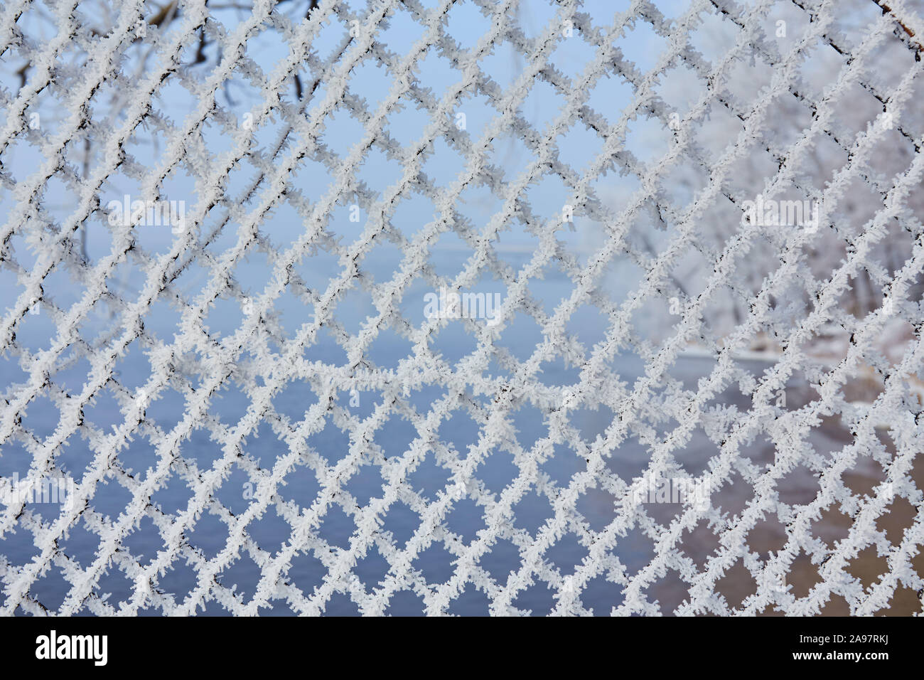 Frozen wire fence texture with blurry background. Winter scene Stock ...