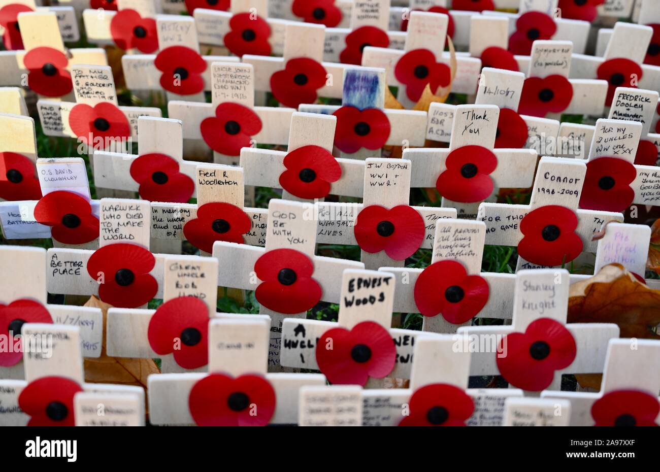 Poppies. Field of Remembrance, St Margeret's Church, Westminster Abbey ...