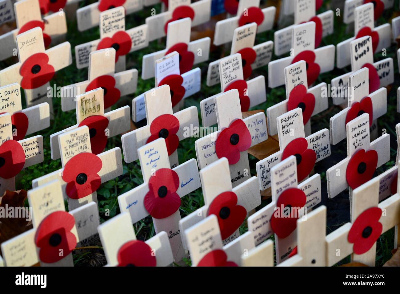 Poppies. Field of Remembrance, St Margeret's Church, Westminster Abbey ...