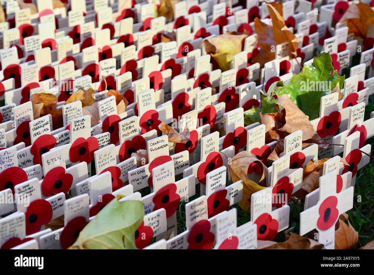 Poppies. Field of Remembrance, St Margeret's Church, Westminster Abbey ...