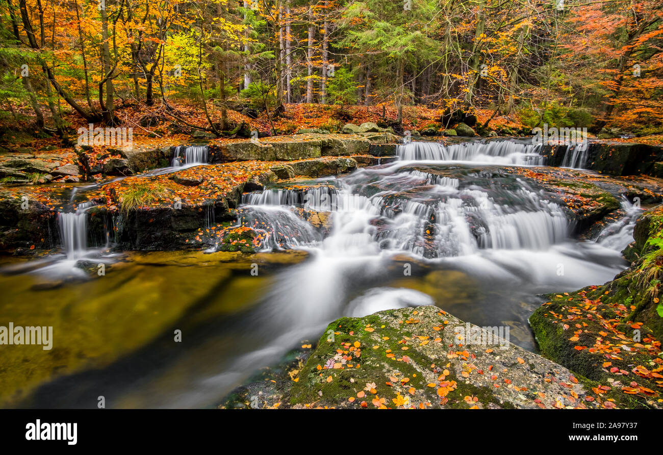 Kolory jesieni hi-res stock photography and images - Alamy