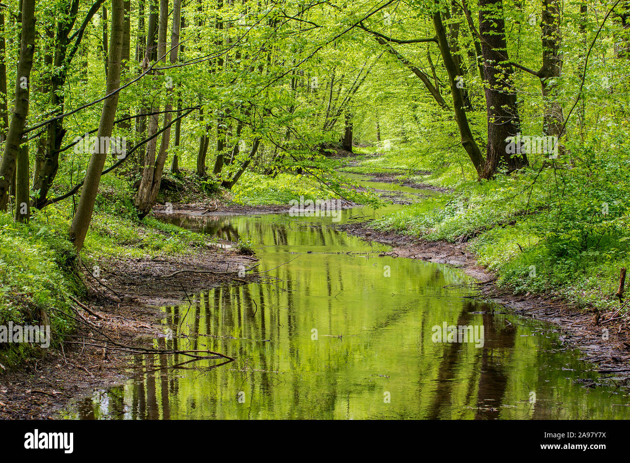 Durski hi-res stock photography and images - Alamy