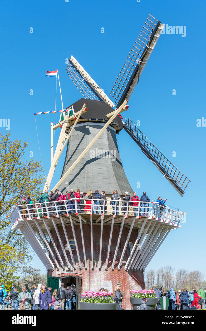 Old dutch windmill. People on the observation deck.: Keukenhof, the ...