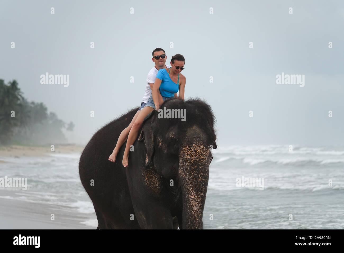 Guy riding an elephant hi-res stock photography and images - Alamy