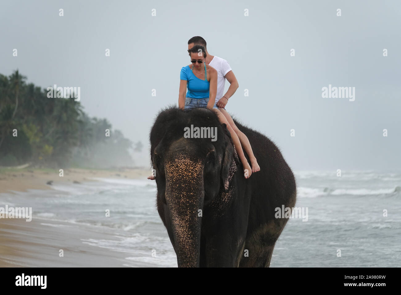 Young Woman Riding Elephant High Resolution Stock Photography and ...
