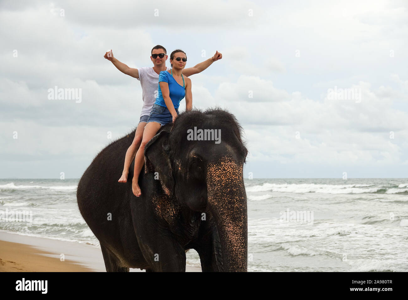Happy Elephant On Beach