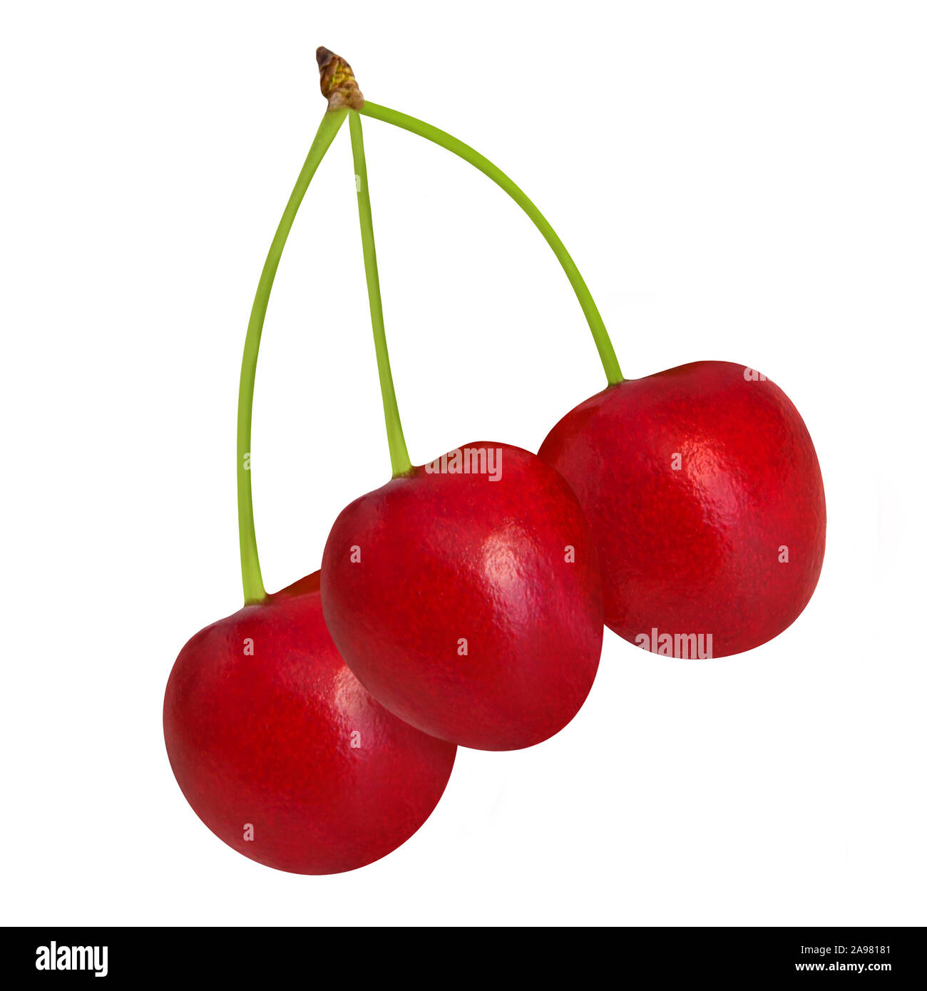 Three Cherries isolated against white background Stock Photo - Alamy