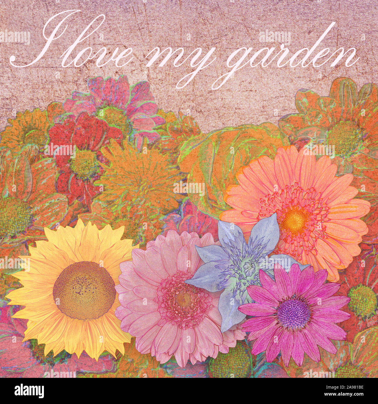 I love plants hi-res stock photography and images - Alamy