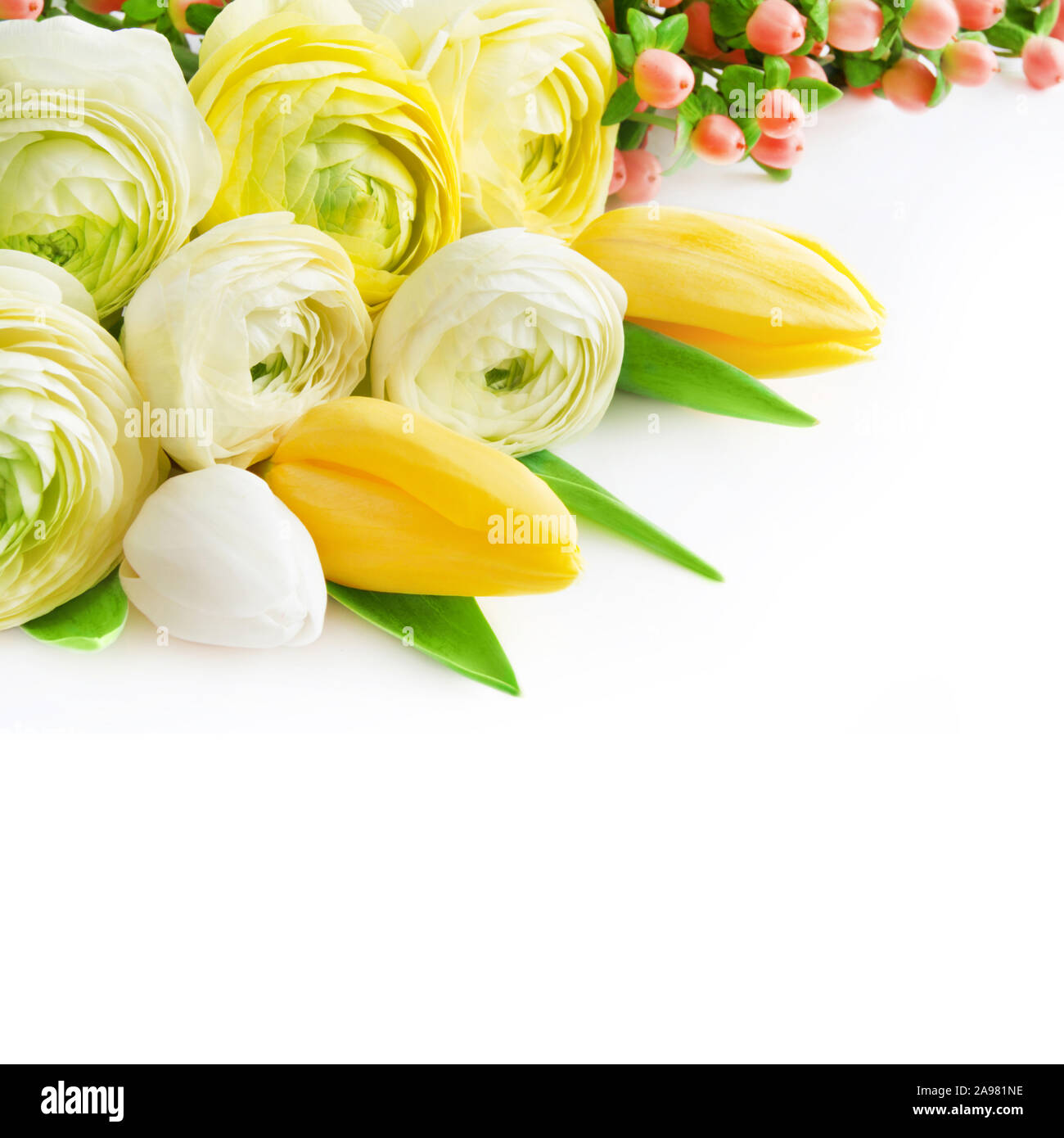 Flowers Buttercup and Tulips Stock Photo - Alamy