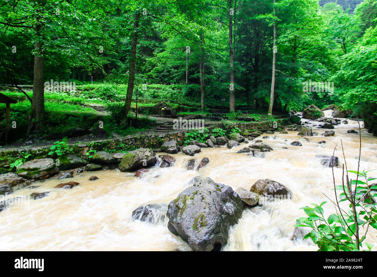 Muddy water stream flowing trough the river bed after rain. Trees, big ...