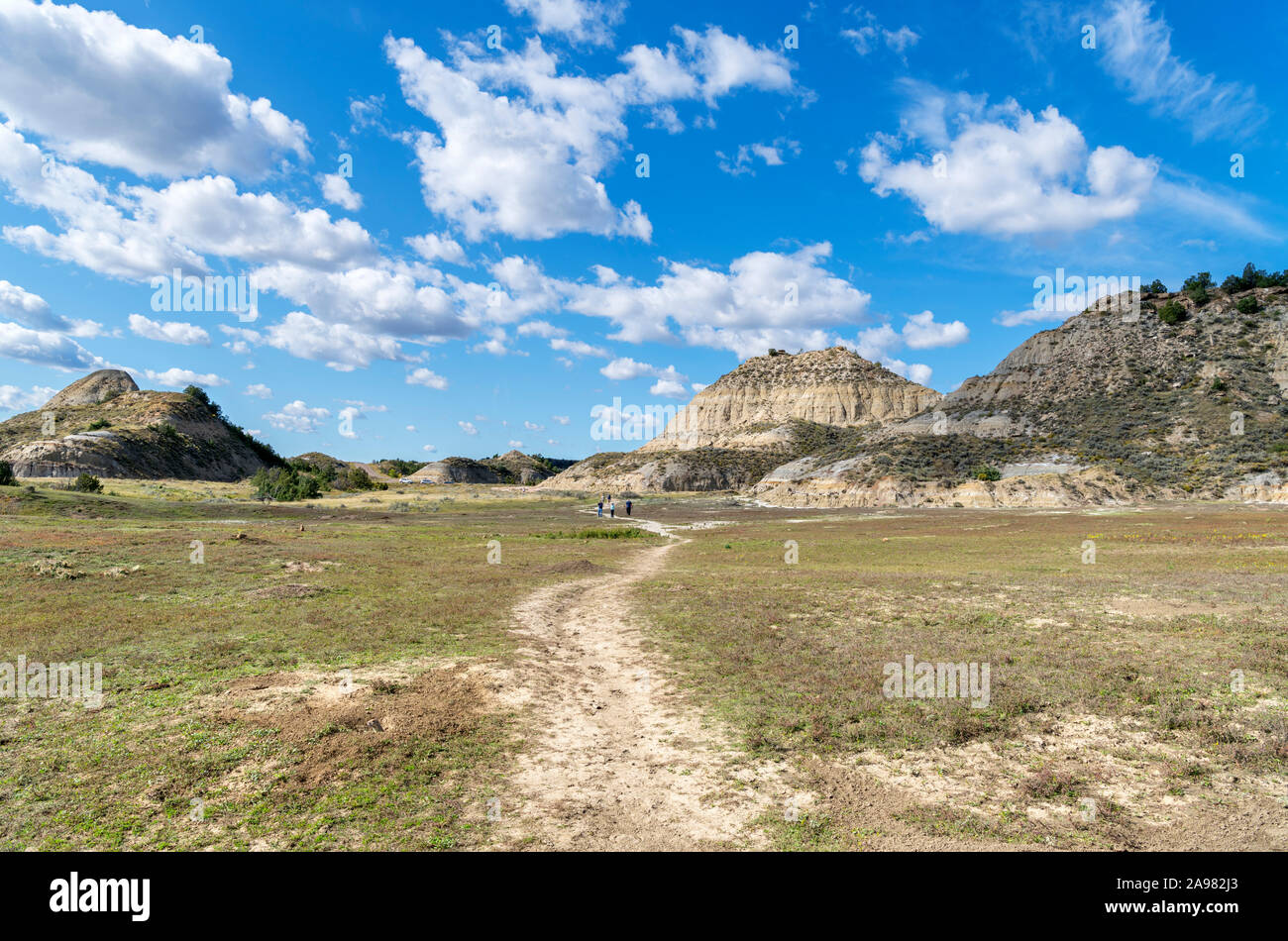 Theodore roosevelt national park hi-res stock photography and images ...