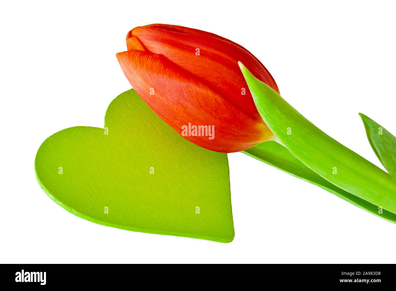 Red tulip and heart isolated against white background Stock Photo - Alamy