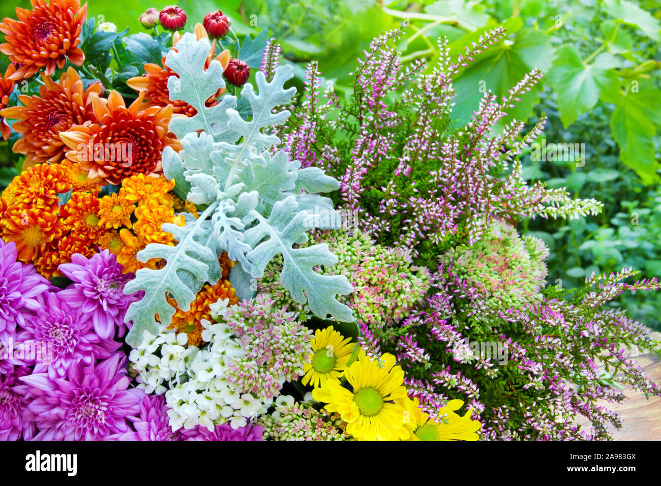 Autumn flowers background Stock Photo - Alamy