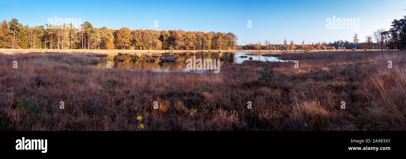 Dwingelderveld national park hi-res stock photography and images - Alamy