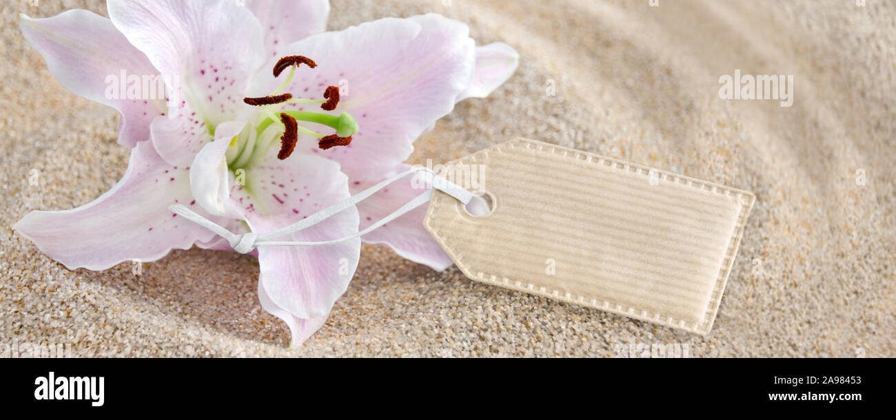 Lily and label Stock Photo - Alamy