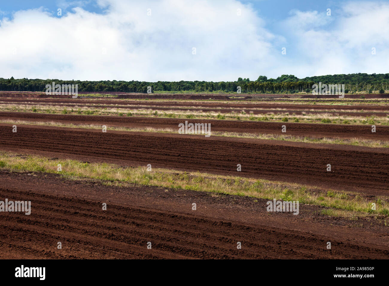 Peat farming industrial hi-res stock photography and images - Alamy