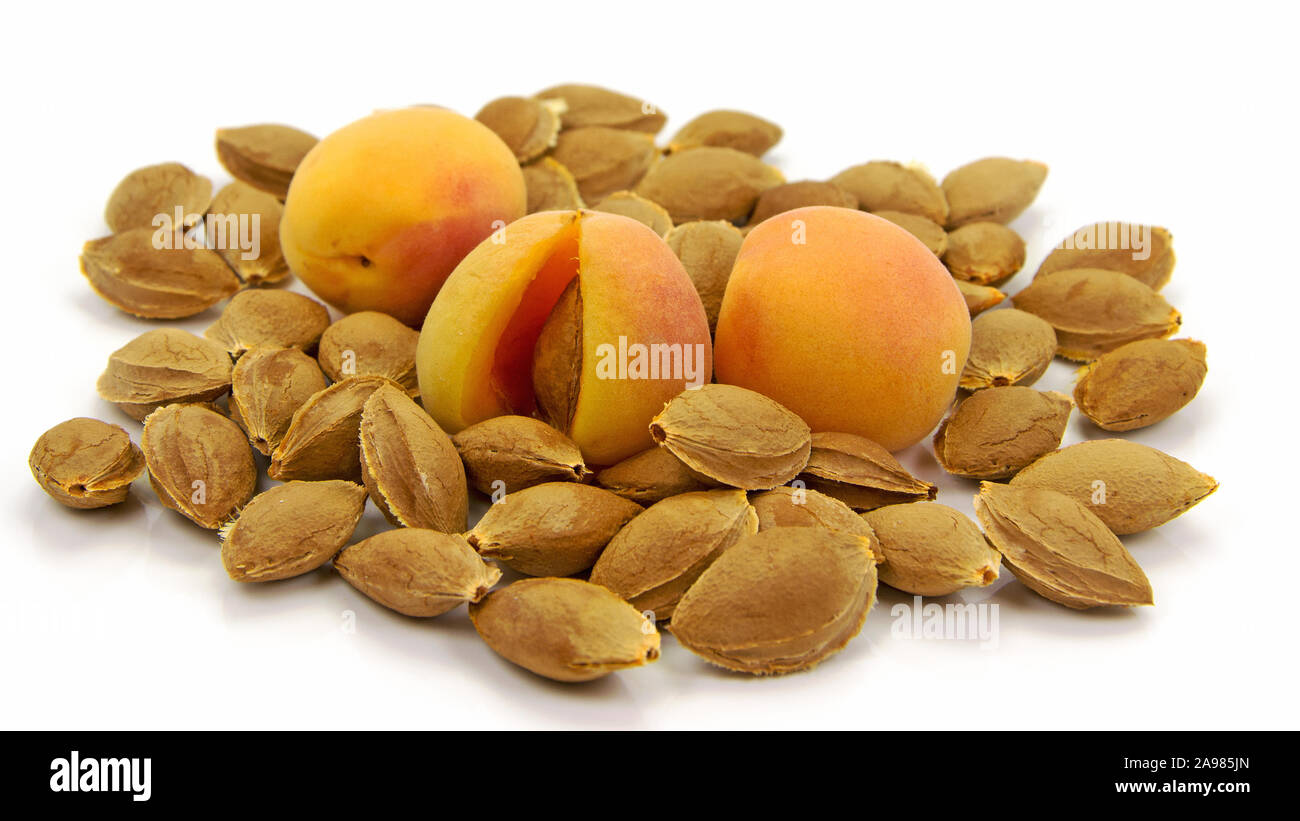 Apricots and apricot kernels in front of white background Stock Photo ...