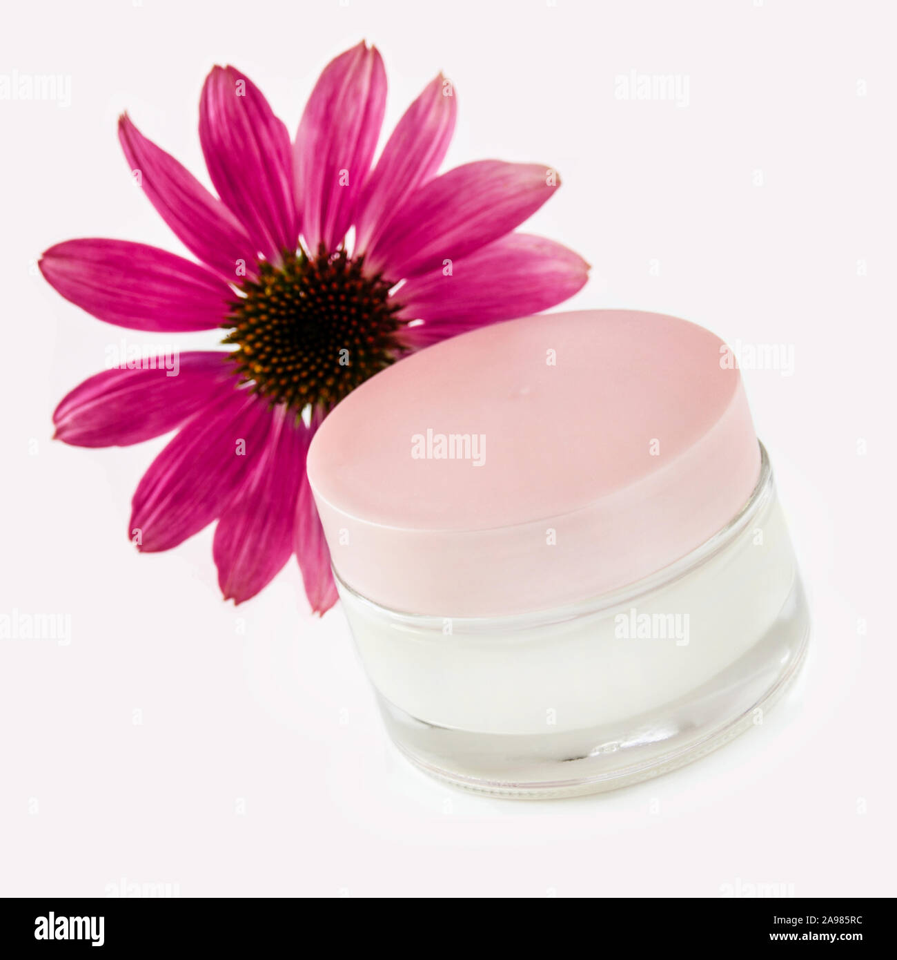 Echinacea Skin care cream Stock Photo - Alamy