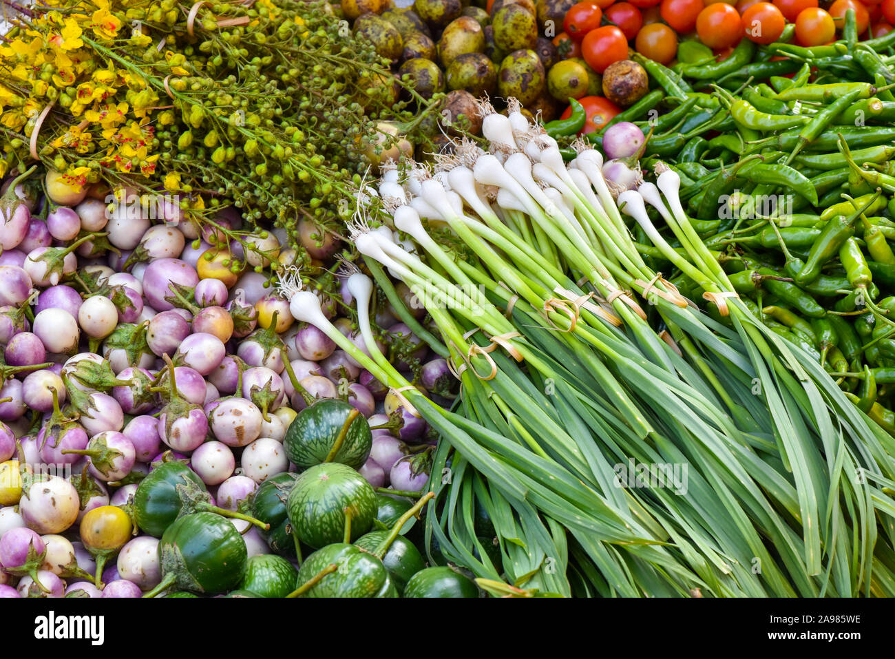 Asia based hi-res stock photography and images - Alamy