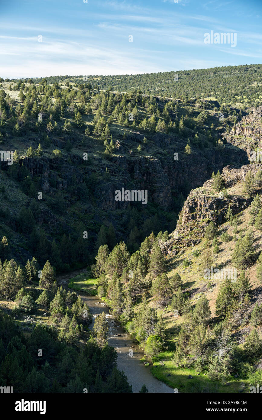 The Donner and Blitzen River flowing through a canyon in Eastern Oregon ...