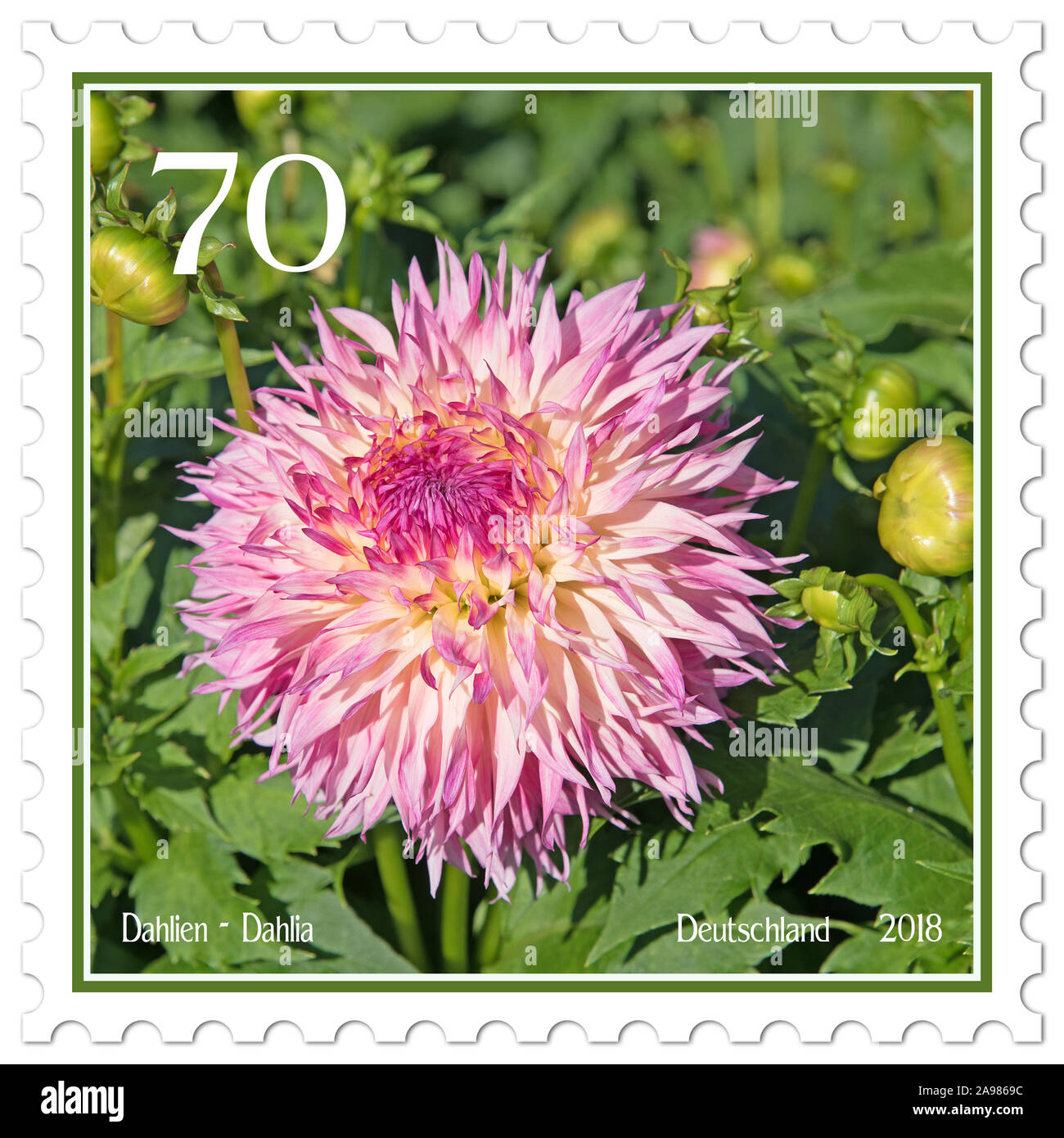 Stamp postage germany Cut Out Stock Images & Pictures - Alamy