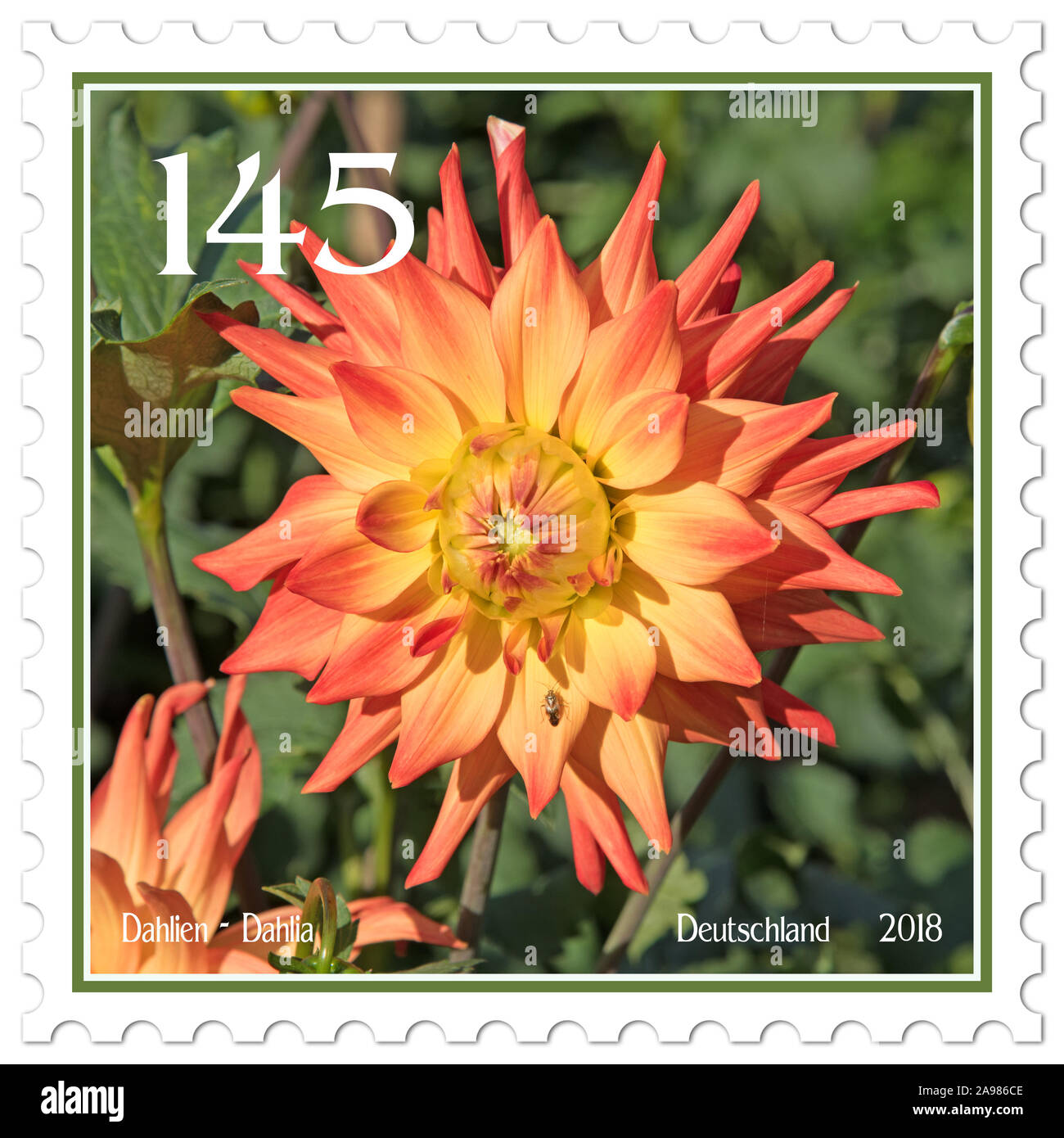 Postage Stamp White Background High Resolution Stock Photography and ...