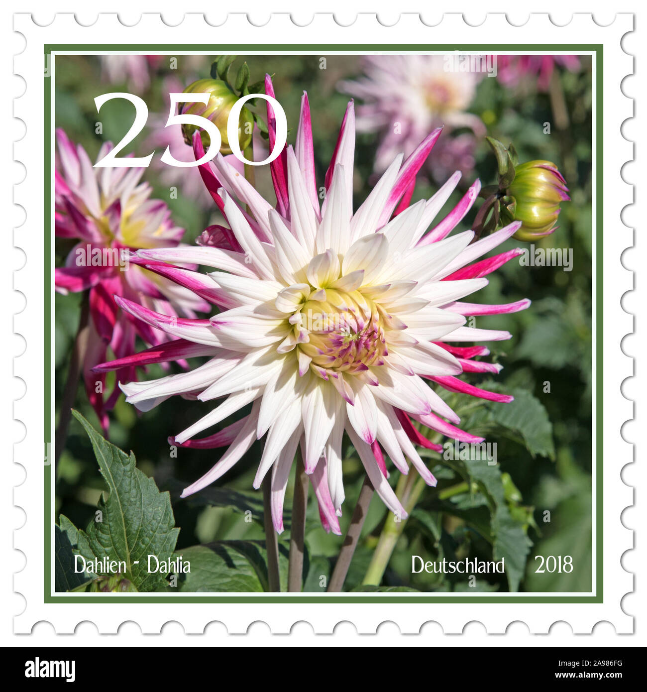 Stamp postage germany Cut Out Stock Images & Pictures - Alamy