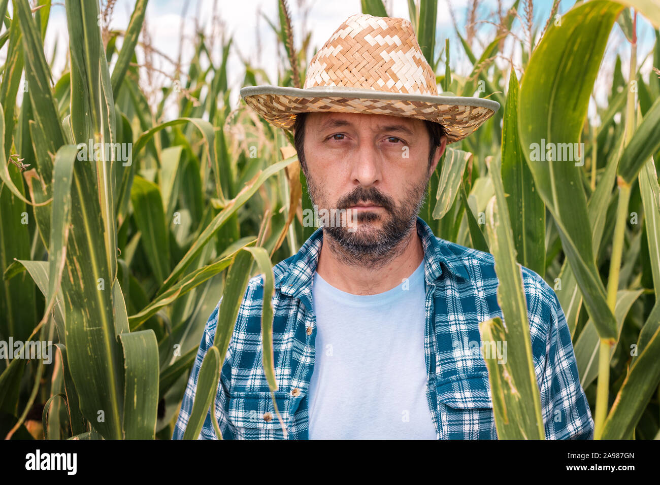 Authentic worker hi-res stock photography and images - Alamy