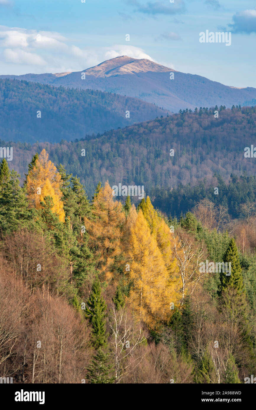 View of Smerek pewk in the Bieszczady Mountains. Eastern Carpathians ...
