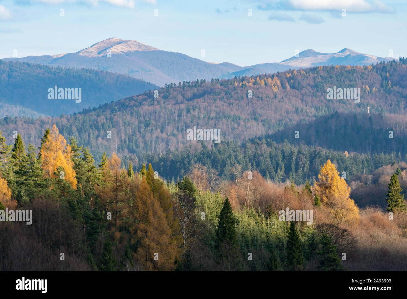 View of Smerek peak and Połonina Wetlińska in the Bieszczady Mountains ...