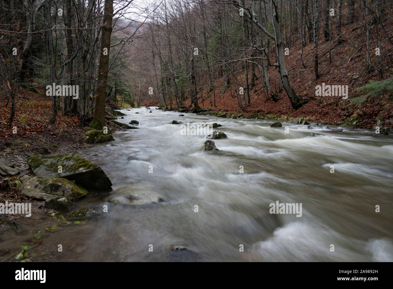 Solinka River in the Bieszczady Mountains. Eastern Carpathian, Poland ...