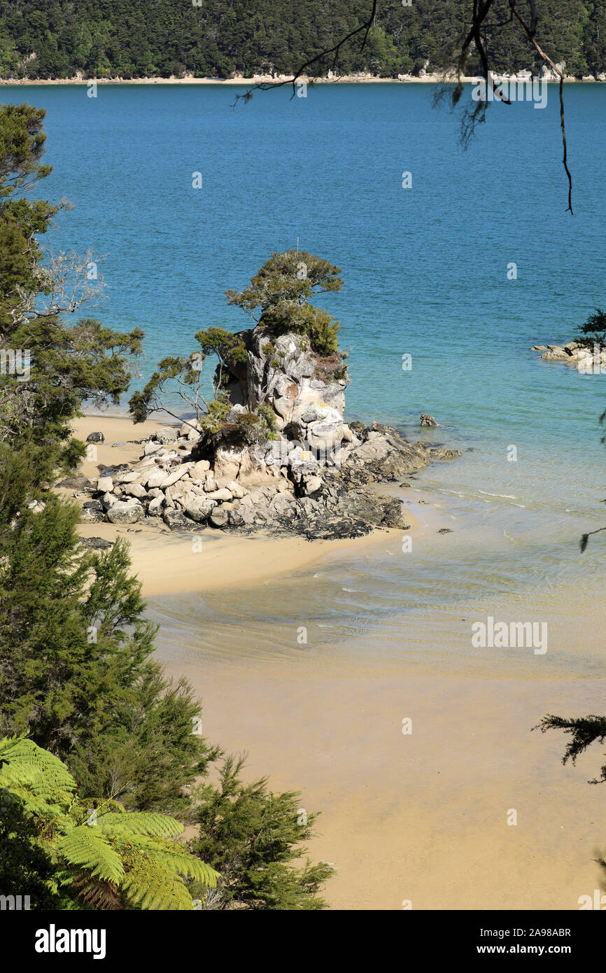 Beach in Abel Tasman National Park New Zealand Stock Photo - Alamy