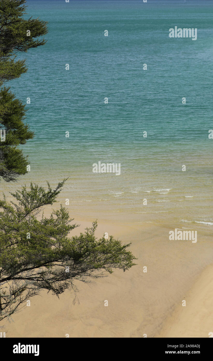 Beach in Abel Tasman National Park New Zealand Stock Photo - Alamy