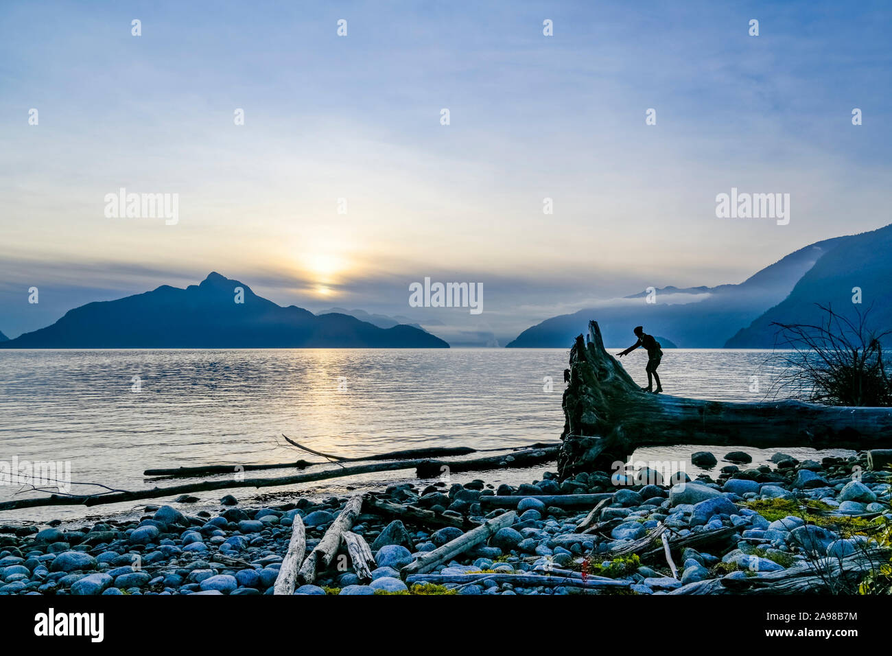 Driftwood log hi-res stock photography and images - Alamy