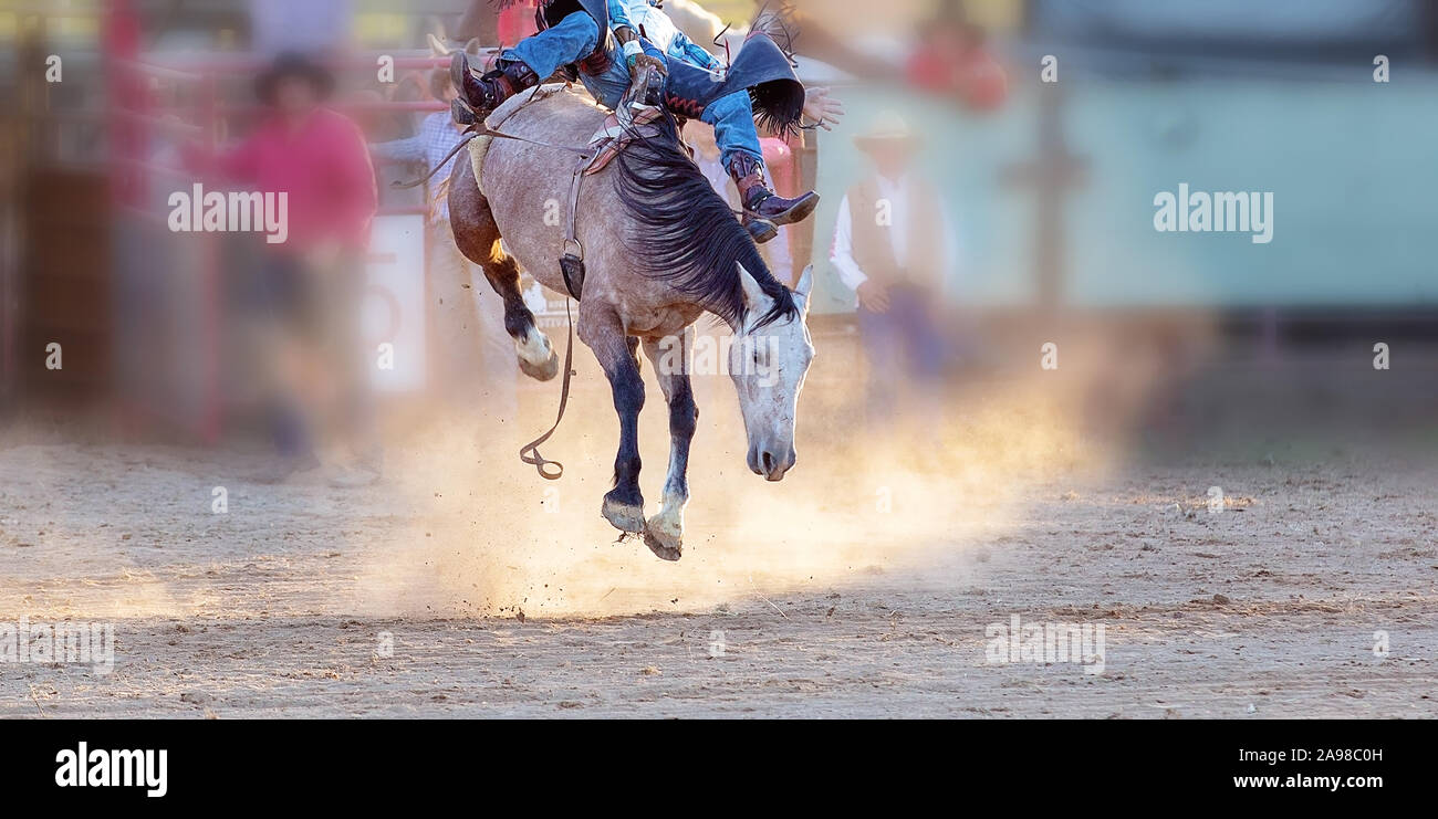 Bucking bronc horse riding competition entertainment at country rodeo ...